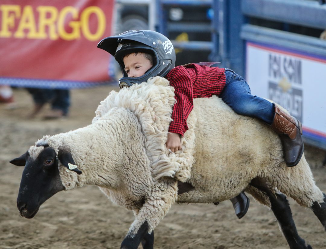 Folsom Pro Rodeo Mutton Busting Sign Ups Open – Folsom Times
