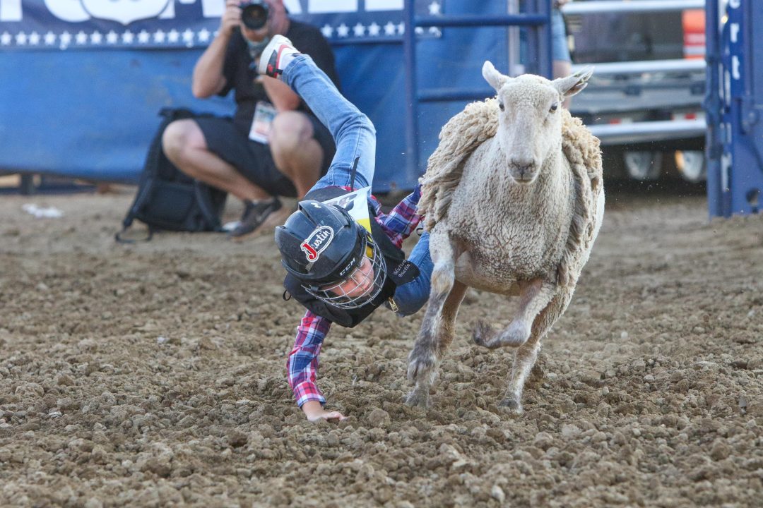 In pictures; Folsom Rodeo makes 22,000 memories - Folsom Times