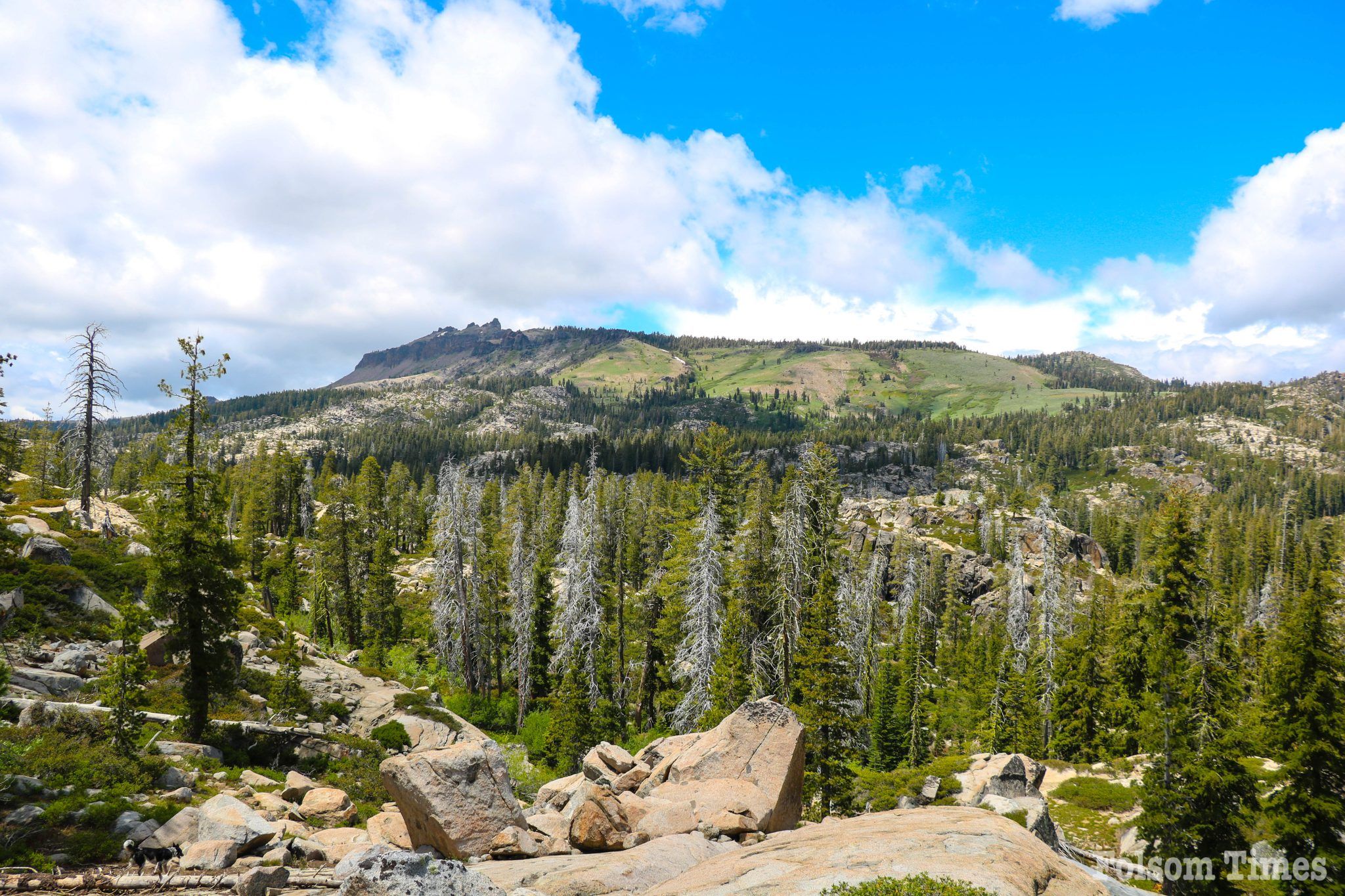Day Hiker: Glacier Meadow Loop Is An Easy Half Mile Loop – Folsom Times