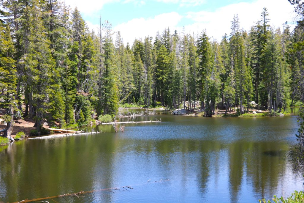 Day Hiker: Glacier Meadow Loop Is An Easy Half Mile Loop – Folsom Times