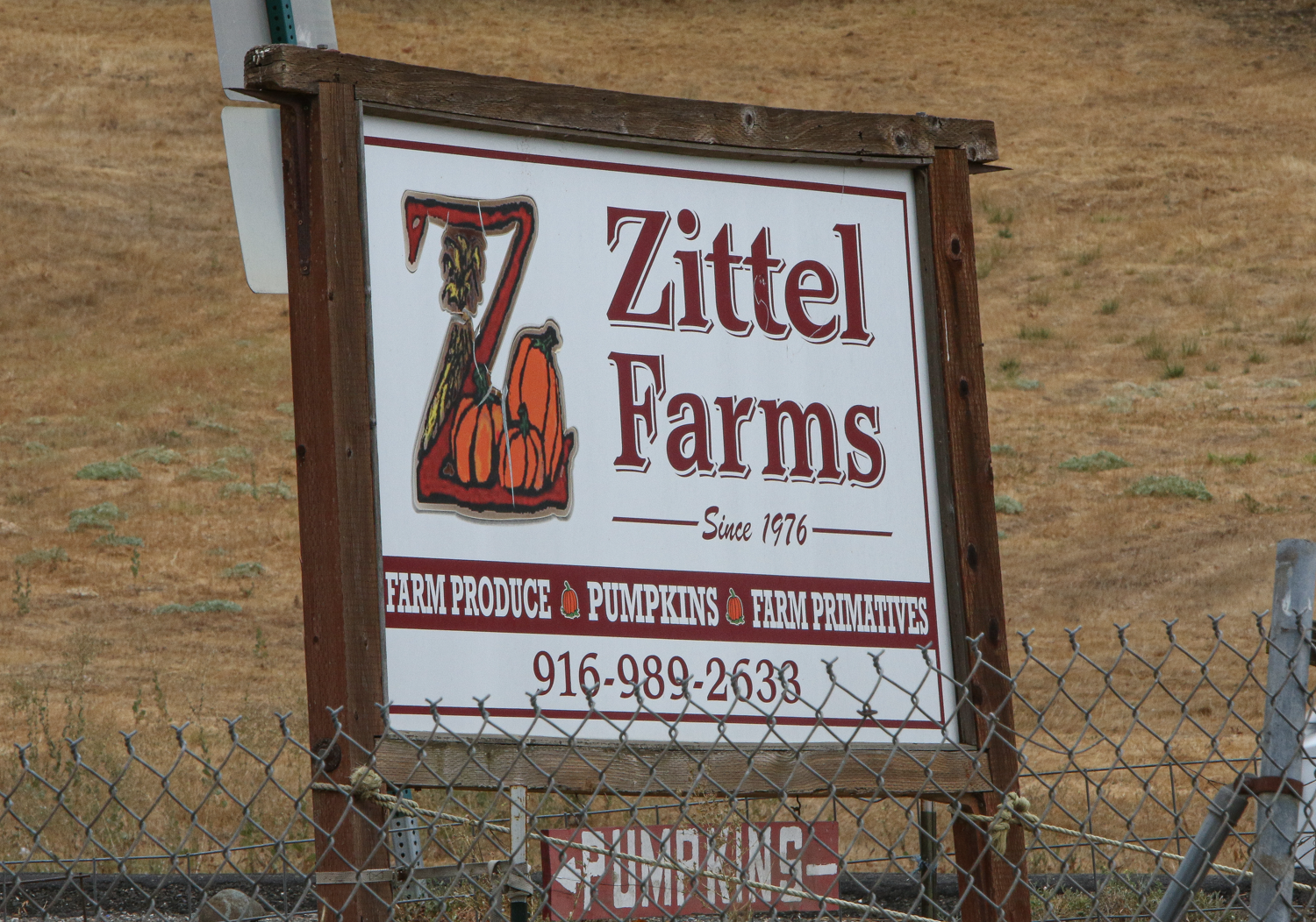 A Folsom Tradition: Zittel Farms Ready For 48th Pumpkin Pickin’ Season ...