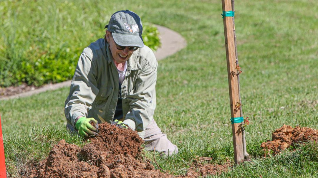 Folsom Gets Earthy With Outdoor Projects, Earth Day Festival – Folsom Times