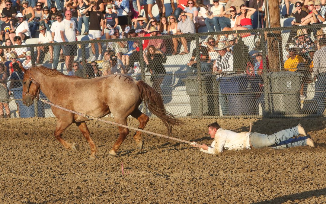 In Pictures: Community Spirit Shines At Folsom Pro Rodeo – Folsom Times