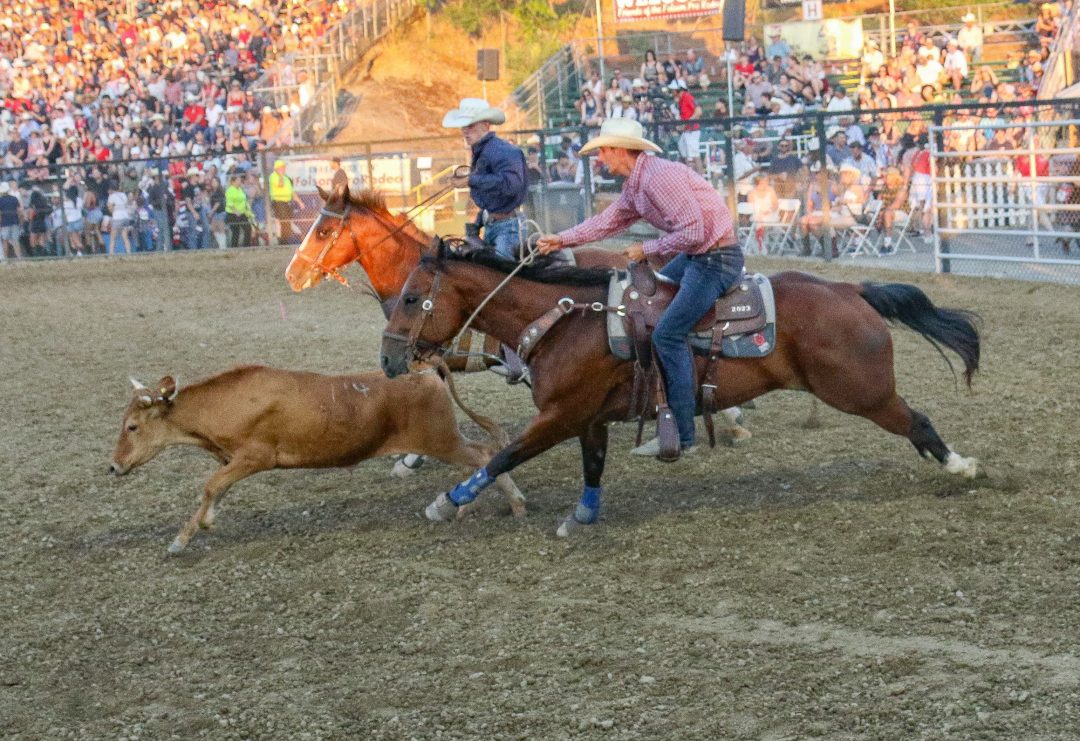 Disco Dalton Ignites The Fun For Folsom Pro Rodeo Fans – Folsom Times