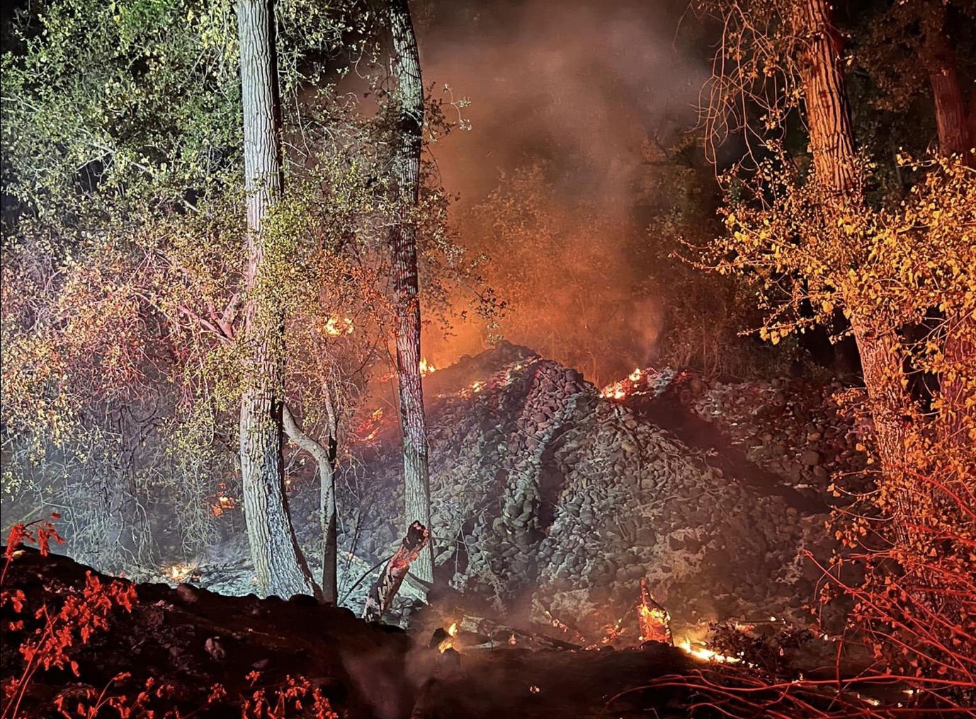 Folsom Firefighters Wrangle Tough Parkshore Blaze – Folsom Times