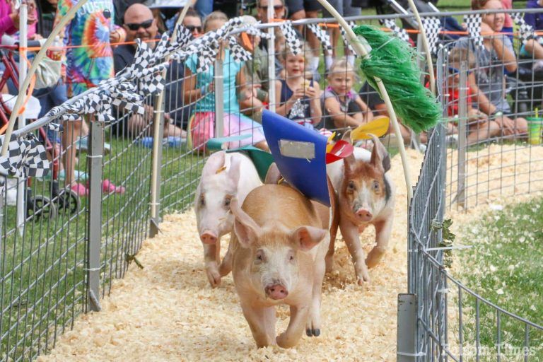 Sacramento County Fair Kicks Off Five Day Run At Cal Expo – Folsom Times