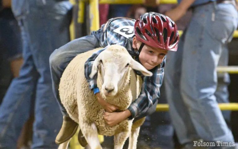 Get Ready For Tradition, Charm And Fun At The Amador County Fair ...