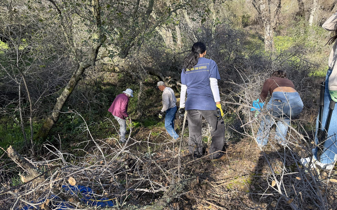 Friends Of Folsom Parkways Needs Volunteers For Fire Fuel Removal ...