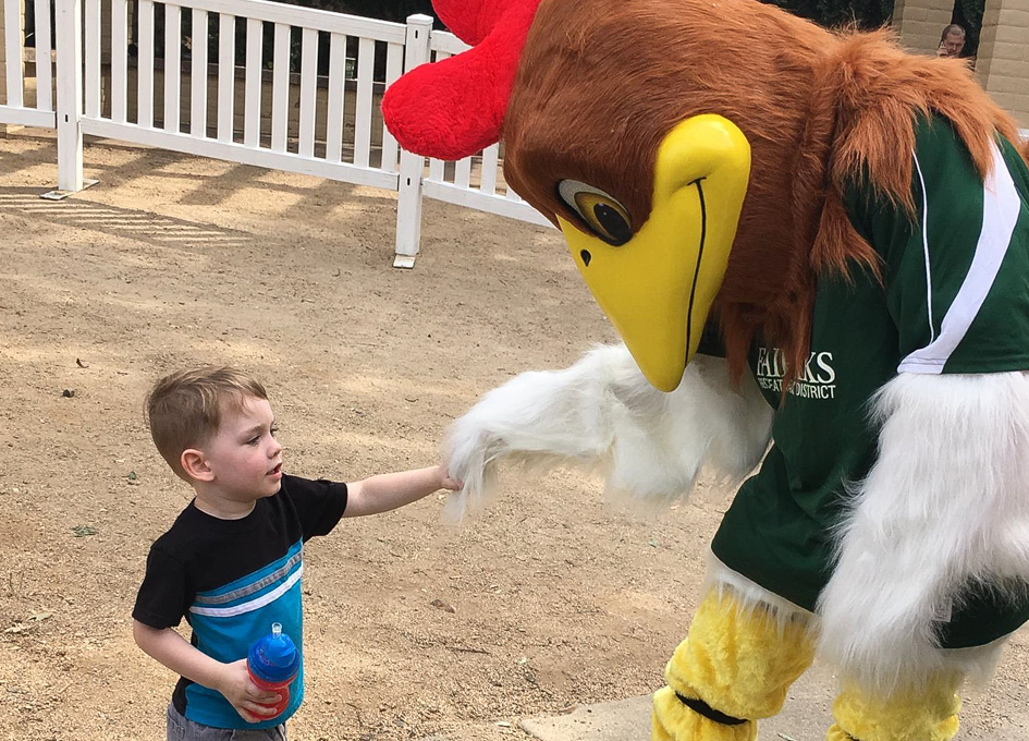 Fair Oaks Ready To Celebrate 20th Annual Chicken Festival Saturday ...