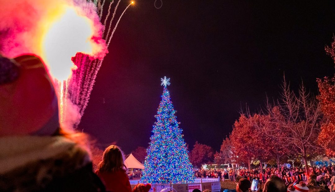 Placerville, Cordova Tree Lighting Celebrations Ignite This Week ...